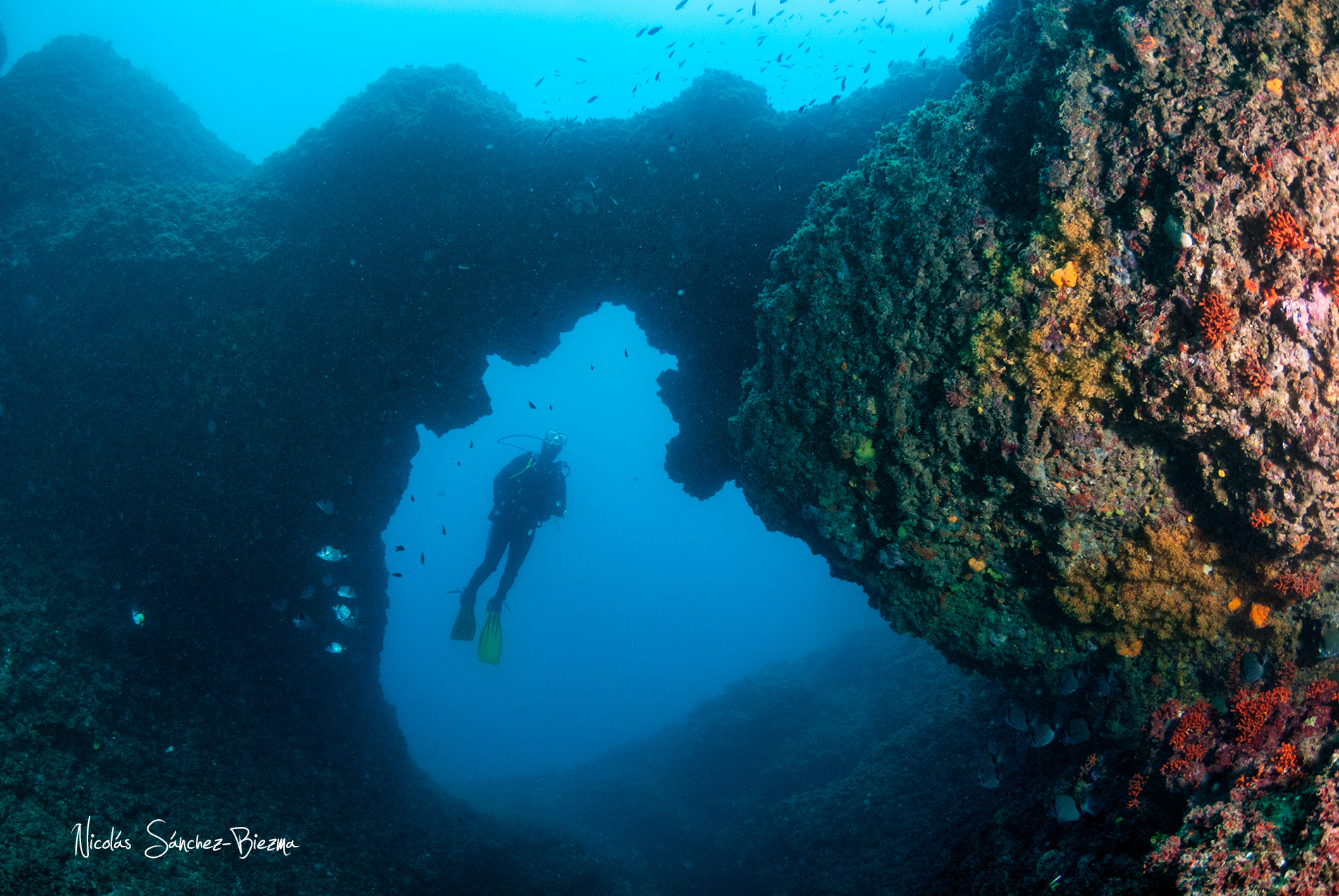 Home - Scuba Diver Javea